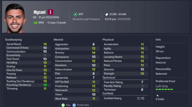 The Best Young Talents in Brazil to Watch in Football Manager – The ...